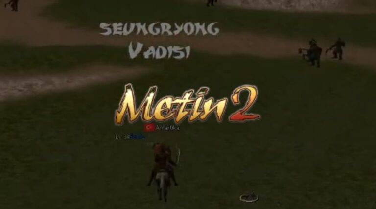 Metin2 3D Graphics Hatası (Çözümü)